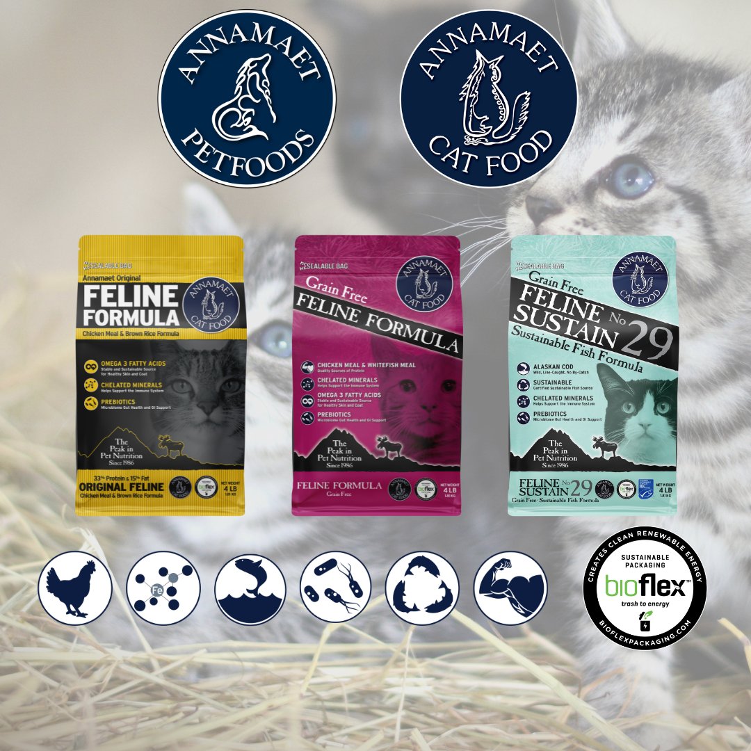 Annamaet Cat – Super Paws